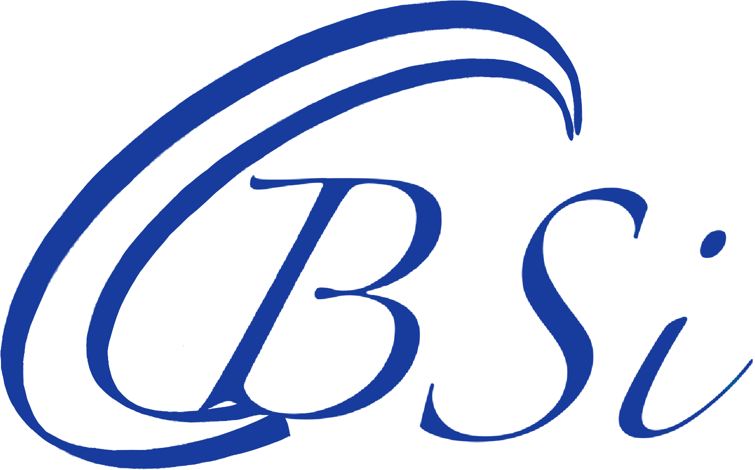 BSi - Brilliant Silicon PTE. LTD.